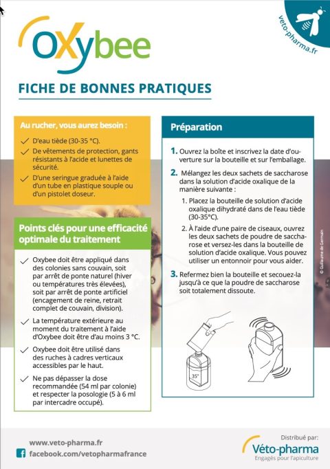 Oxybee, un traitement français contre le varroa