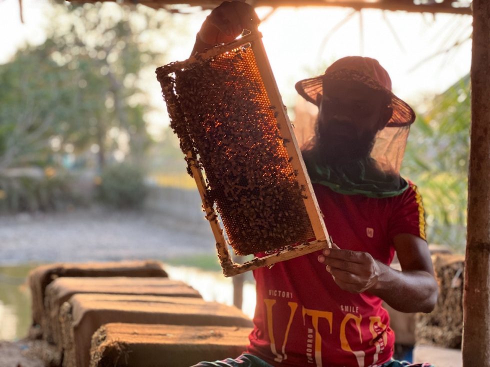 La liste du matériel pour commencer l'apiculture